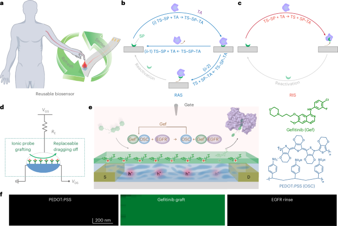 A drug-mediated organic electrochemical transistor for robustly ...