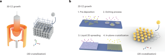 Two-dimensional Czochralski growth | Nature Materials