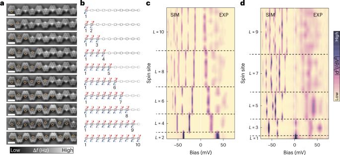 Spin excitations in nanographene-based antiferromagnetic spin-1/2 ...