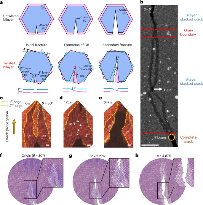 Twist-assisted intrinsic toughening in two-dimensional transition metal ...