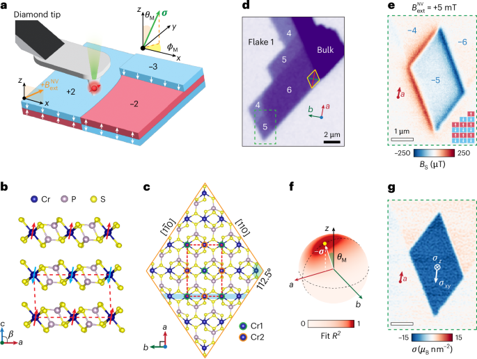 Configurable antiferromagnetic domains and lateral exchange bias in ...