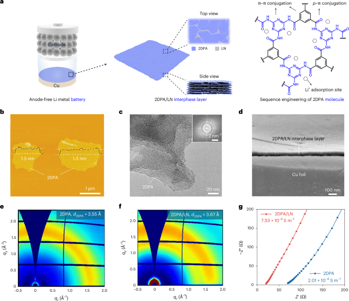 Molecular engineering of two-dimensional polyamide interphase layers ...