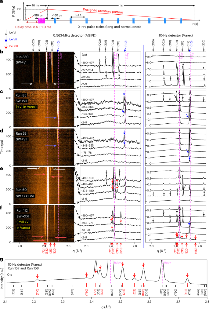 Multiple freezing–melting pathways of high-density ice through ice XXI ...