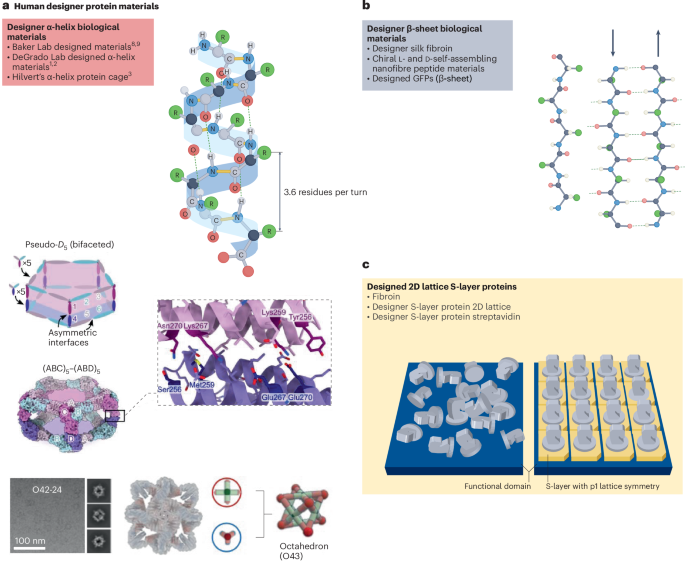 Entering the age of designer protein materials | Nature Materials
