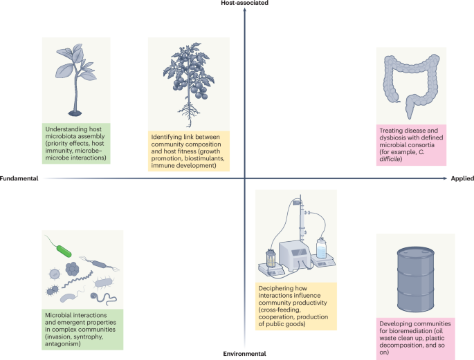 A cross-systems primer for synthetic microbial communities | Nature Microbiology
