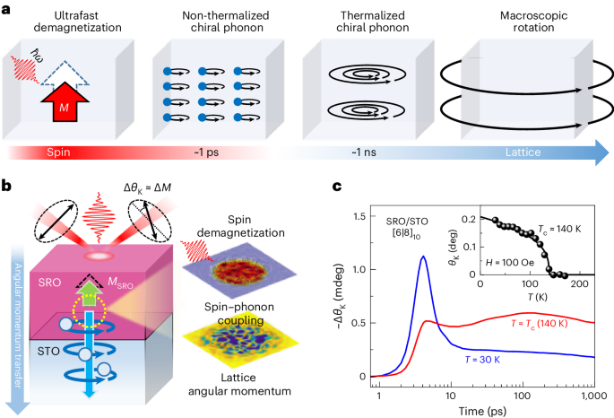 Real-time dynamics of angular momentum transfer from spin to acoustic ...