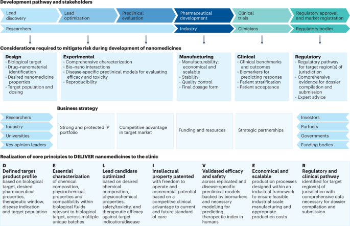 A translational framework to DELIVER nanomedicines to the clinic ...