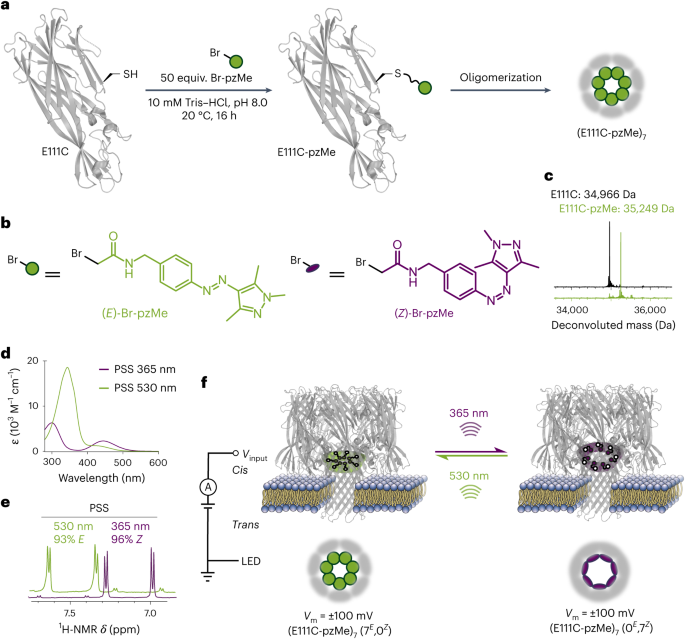 ON–OFF nanopores for optical control of transmembrane ionic ...