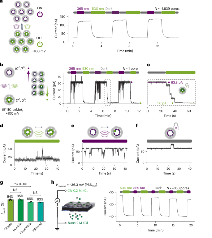ON–OFF nanopores for optical control of transmembrane ionic ...