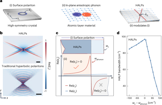 Phonon engineering enables hyperbolic asymptotic line polaritons ...