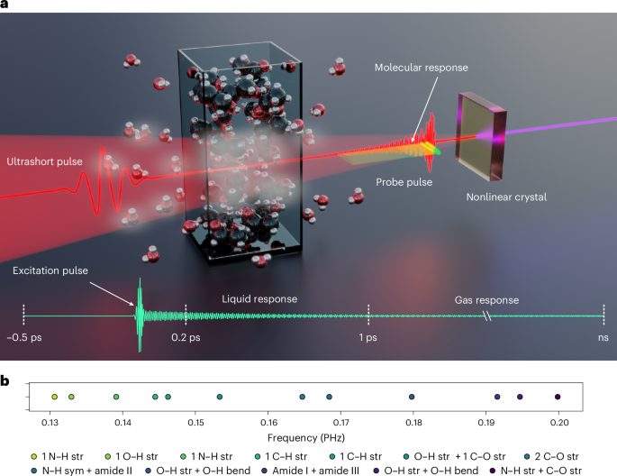 Near-petahertz fieldoscopy of liquid | Nature Photonics