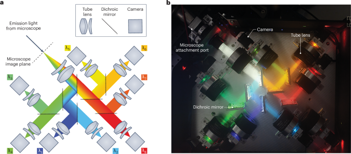 Unlocking cellular complexity with multispectral live-cell imaging ...
