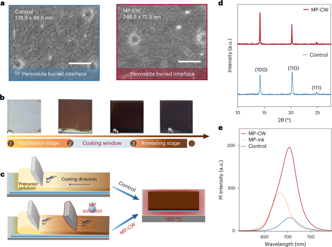 In situ coating strategy for flexible all-perovskite tandem modules ...
