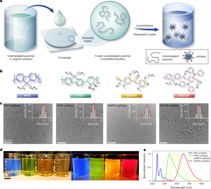 Single-chain ultrasmall fluorescent polymer dots enable nanometre ...