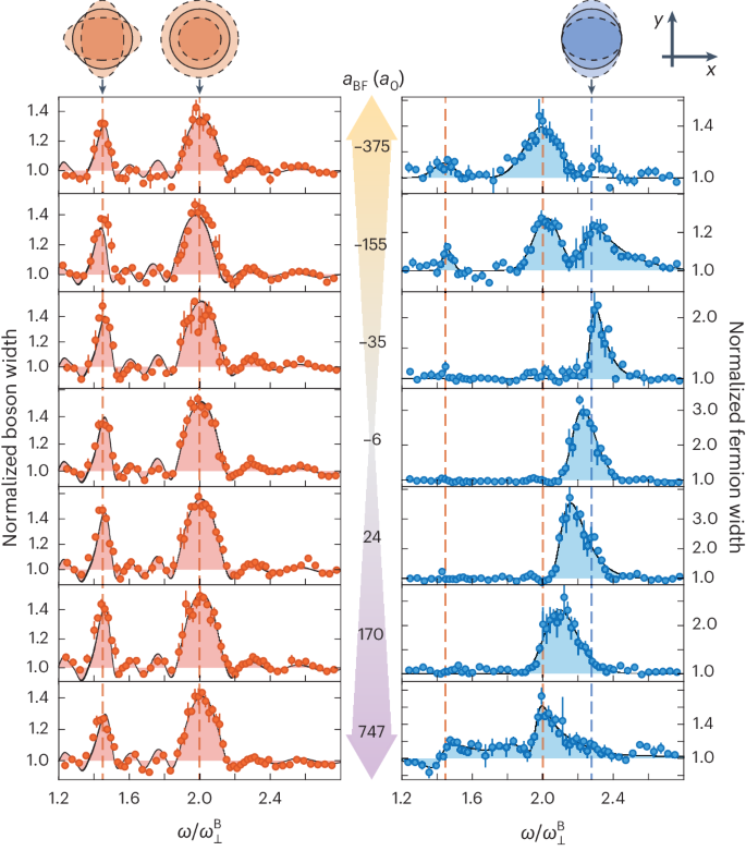 Collective flow of fermionic impurities immersed in a Bose–Einstein ...