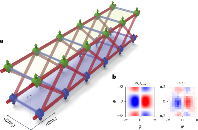 Non-Abelian chiral dynamics in a lattice under synthetic SU(2) gauge ...