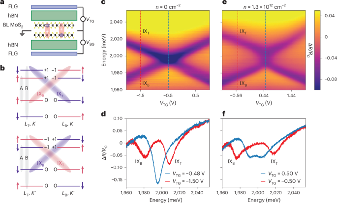 Optical signatures of interlayer electron coherence in a bilayer semiconductor | Nature Physics