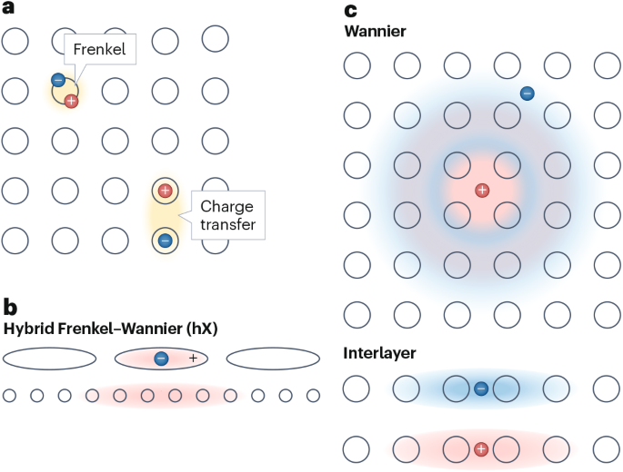 Hybrid excitons span two worlds | Nature Physics