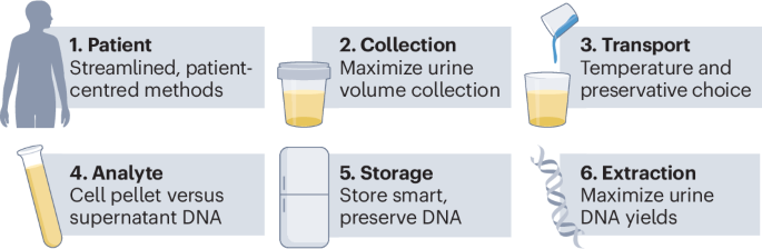 Unlocking the potential of urine-based liquid biopsy through improved ...
