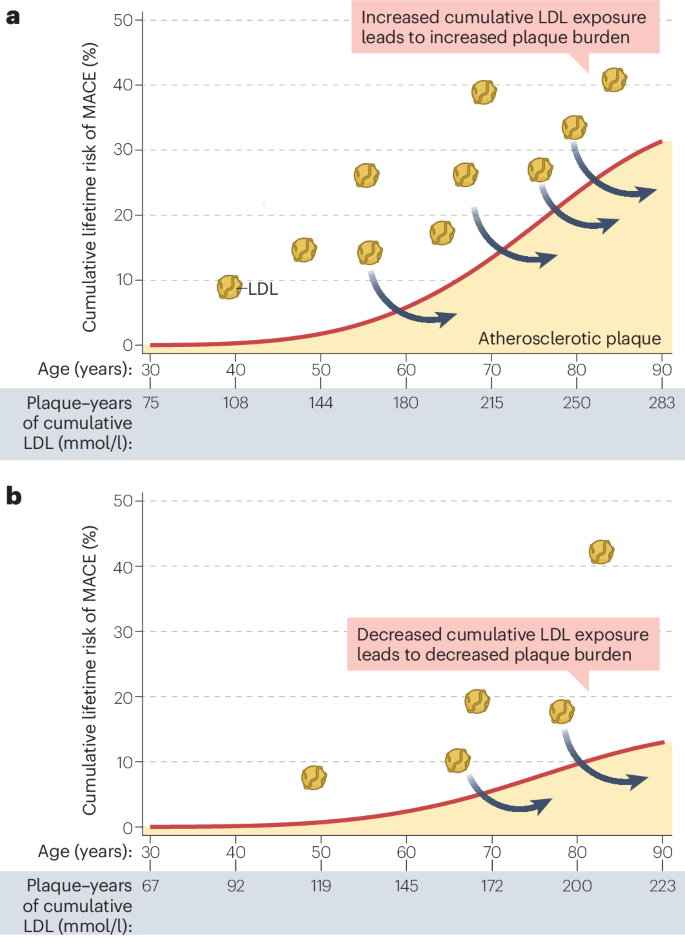 The LDL cumulative exposure hypothesis: evidence and practical ...