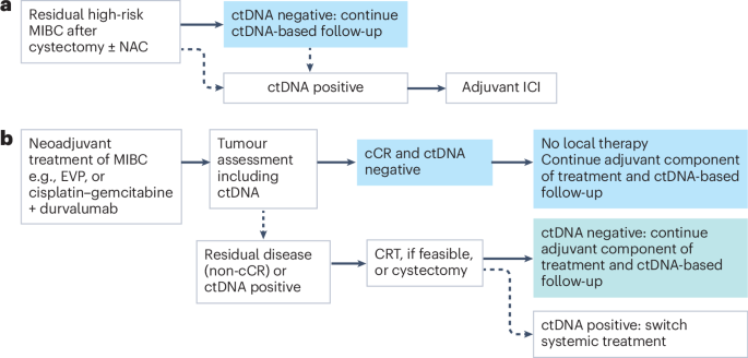 From detection to direction: ctDNA-guided personalized therapy for ...