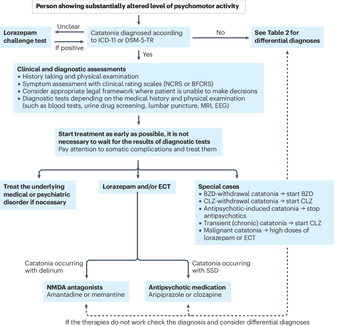 Catatonia | Nature Reviews Disease Primers