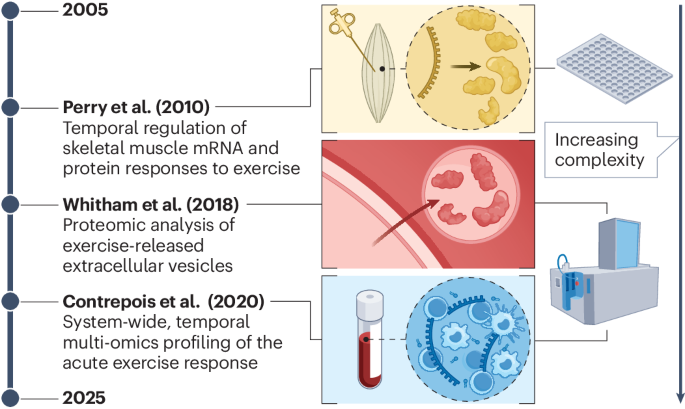 Twenty years of progress in human exercise metabolism research | Nature ...