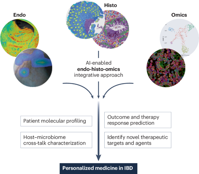AI-enabled ‘endo-histo-omics’: breaking down intestinal barriers in IBD ...