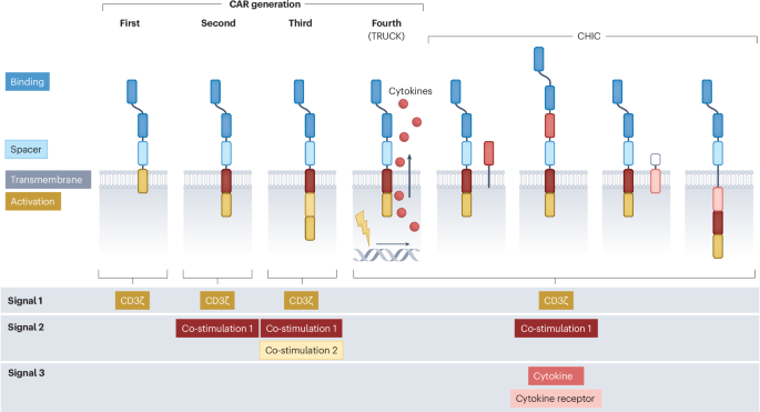 CAR T cell therapies in gastrointestinal cancers: current clinical ...