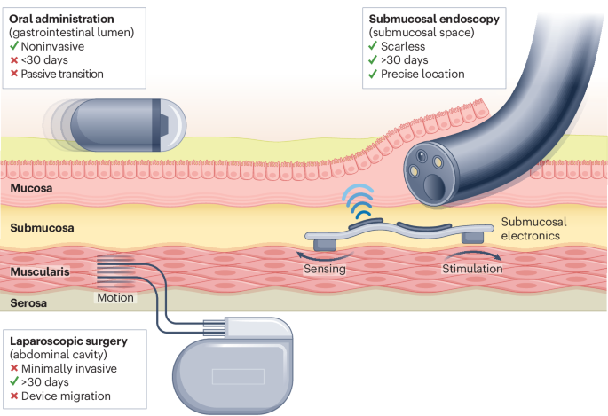 Submucosal electronics for long-term in situ diagnosis and therapeutics ...