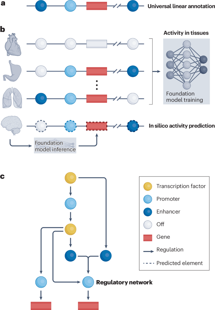 Regulatory genome annotation | Nature Reviews Genetics