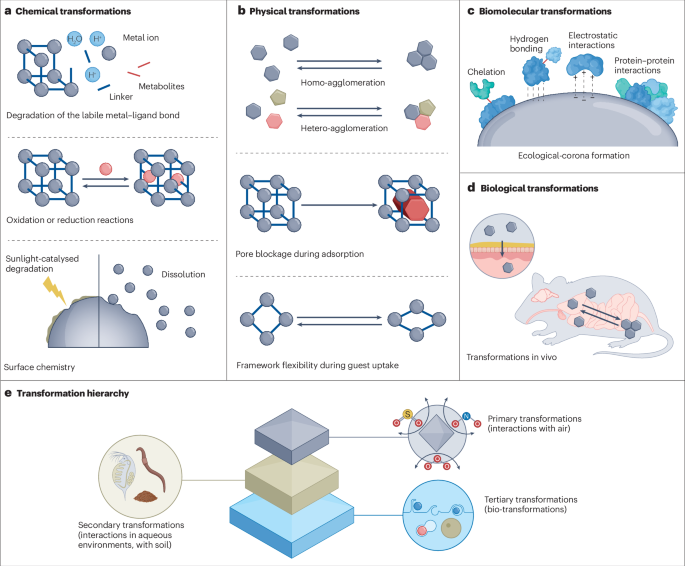 Make metal–organic frameworks safe and sustainable by design for ...