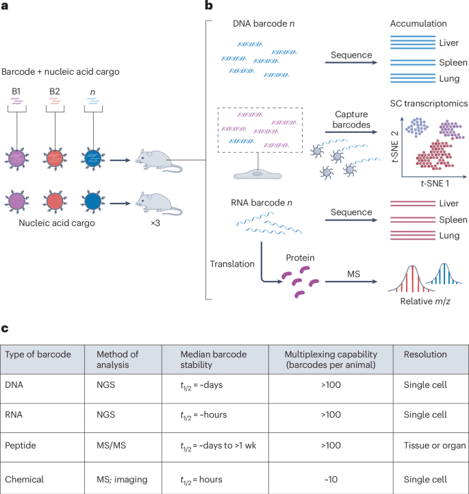 High-throughput platforms for machine learning-guided lipid ...
