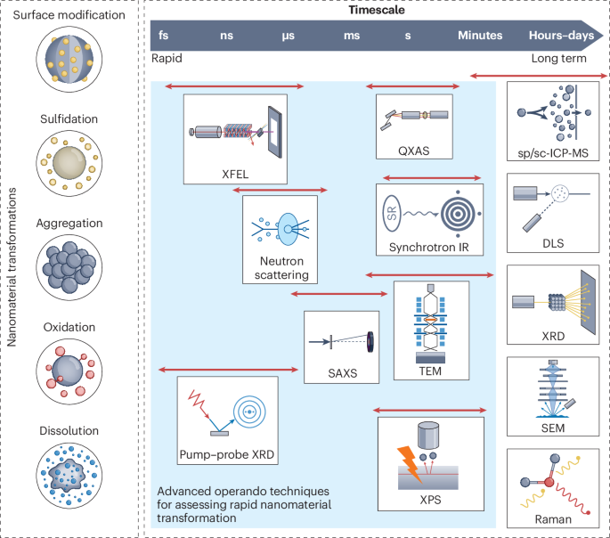 Capturing rapid nanomaterial transformations with cross-platform ...