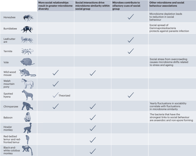 The gut microbiome shapes social behaviour across animal species ...