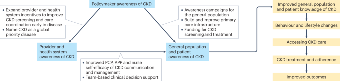 Approaches to raise awareness of CKD among patients and the general ...