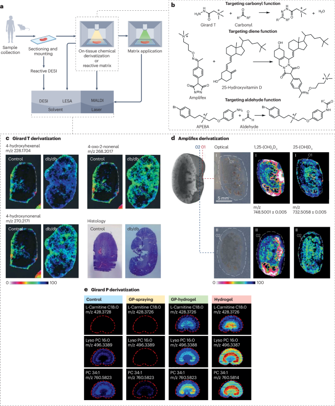 Imaging and spatially resolved mass spectrometry applications in ...