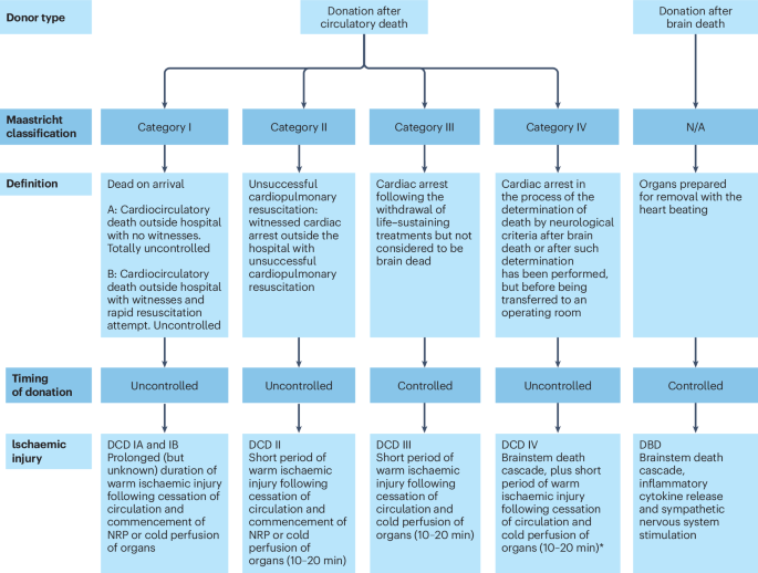 Improving outcomes in kidney transplantation through advances in donor ...