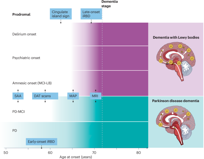 Dementia with Lewy bodies and Parkinson disease dementia — the same or ...