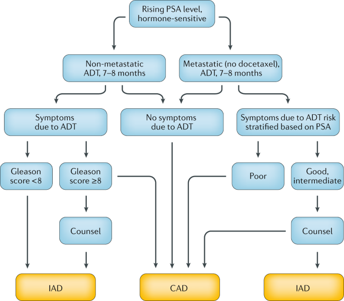 Intermittent versus continuous androgen deprivation therapy for ...