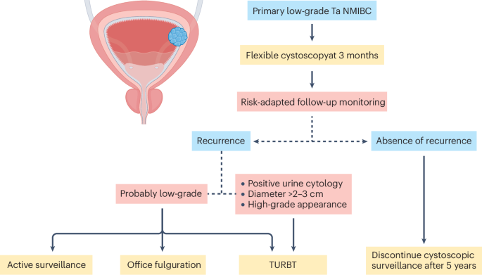 Low-grade non-muscle-invasive bladder cancer: molecular landscape ...