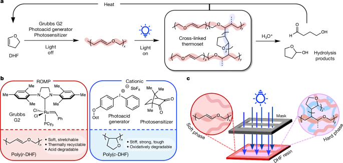 Degradable thermosets via orthogonal polymerizations of a single ...