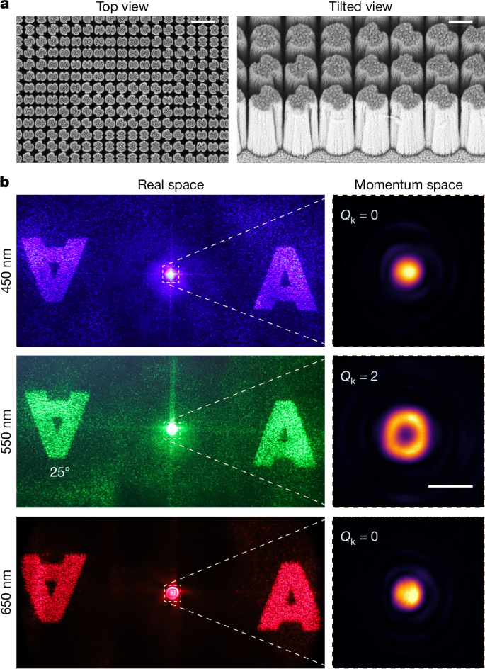 Disorder-assisted real–momentum topological photonic crystal | Researching