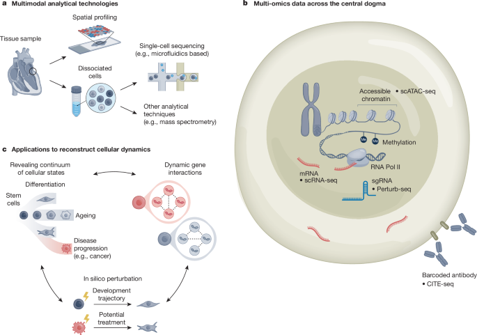 Towards multimodal foundation models in molecular cell biology | Nature