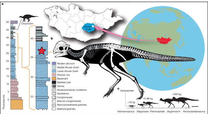 A domed pachycephalosaur from the early Cretaceous of Mongolia | Nature