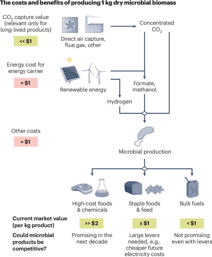 Electro-microbial production techno-economic viability and ...