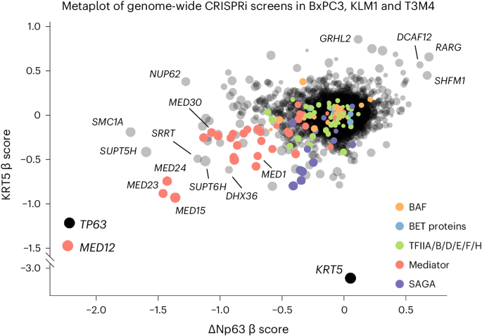 A ΔNp63–MED12 axis drives basal-like identity in pancreatic cancer ...