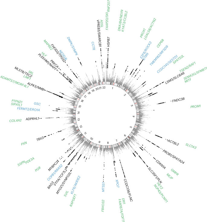 Large-scale genome-wide association analyses identify novel genetic ...