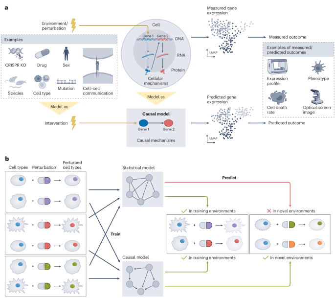 Causal machine learning for single-cell genomics | Nature Genetics