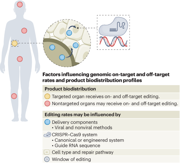 Measurement and clinical interpretation of CRISPR off-targets | Nature ...